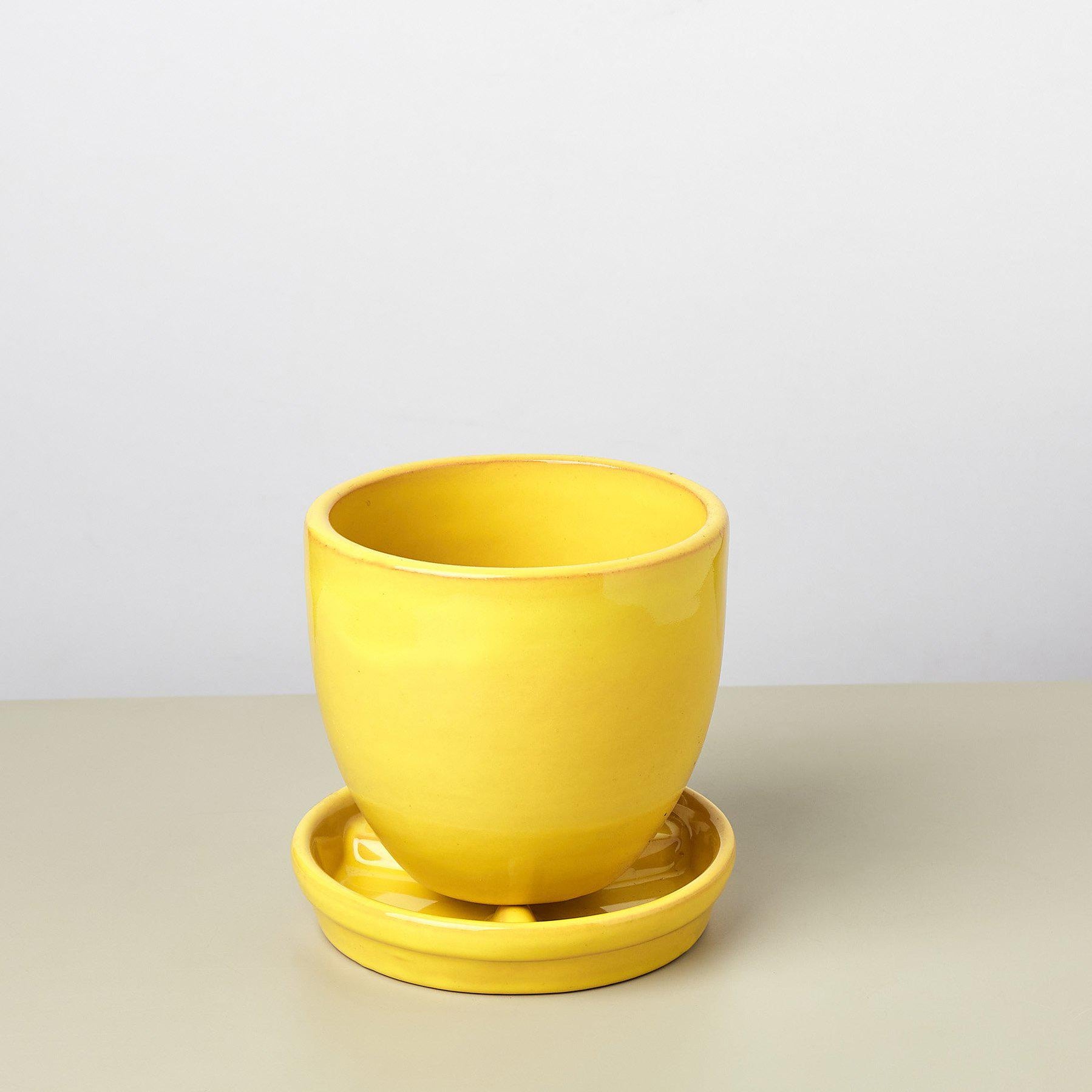 Liberty Bell Planter — House Plant Shop