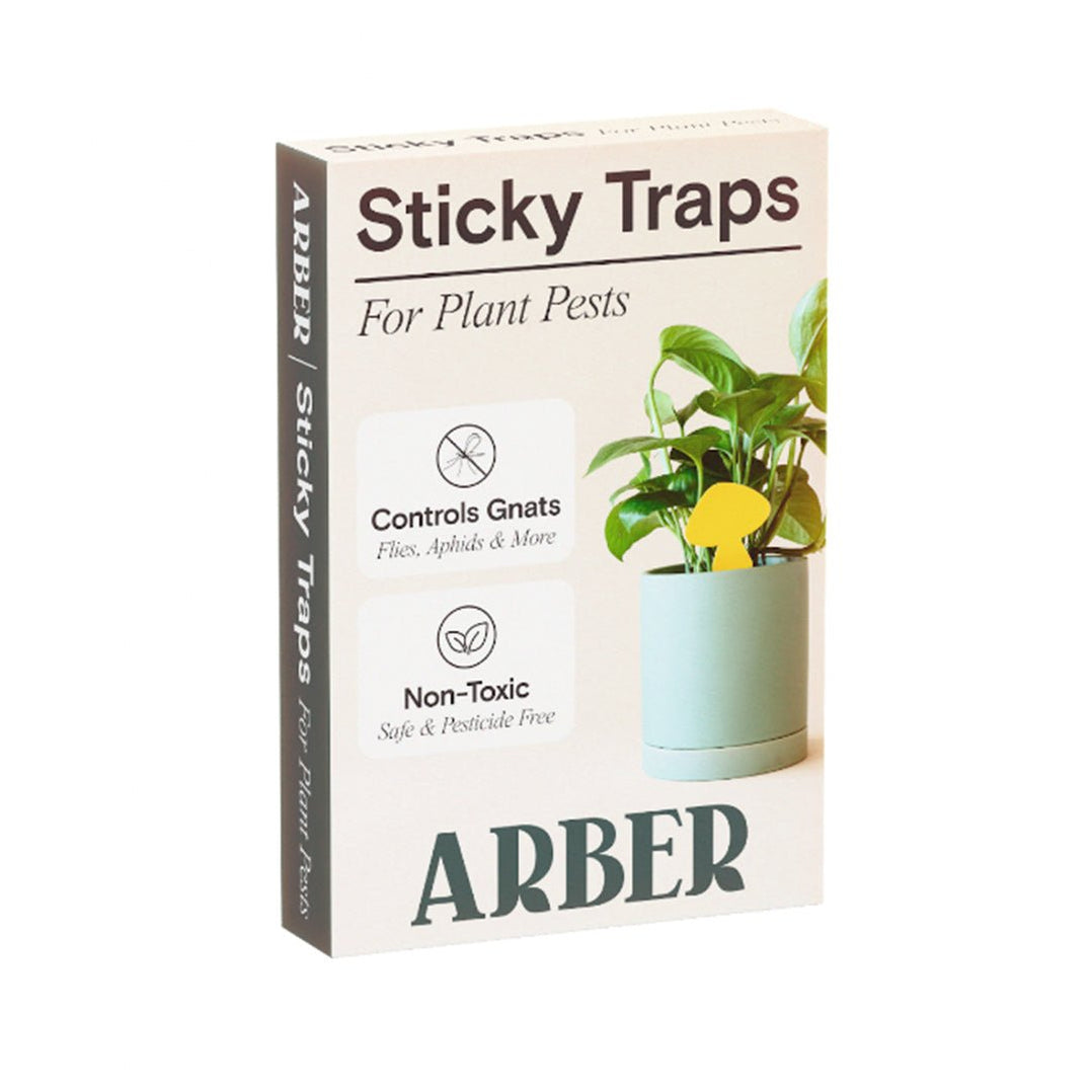 Sticky Traps for Plant Pests — House Plant Shop