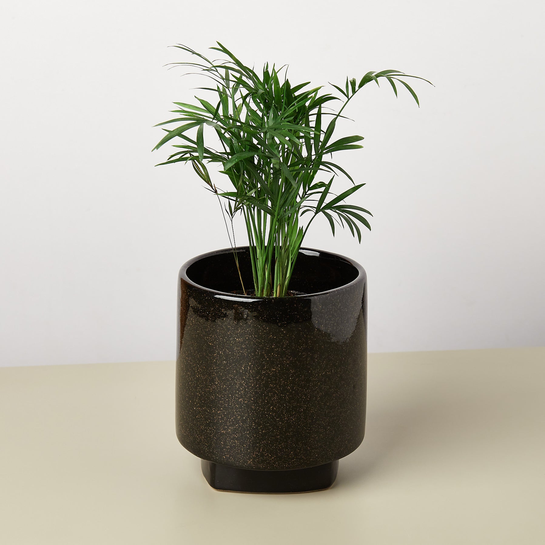 All Pots & Accessories — Page 3 — House Plant Shop