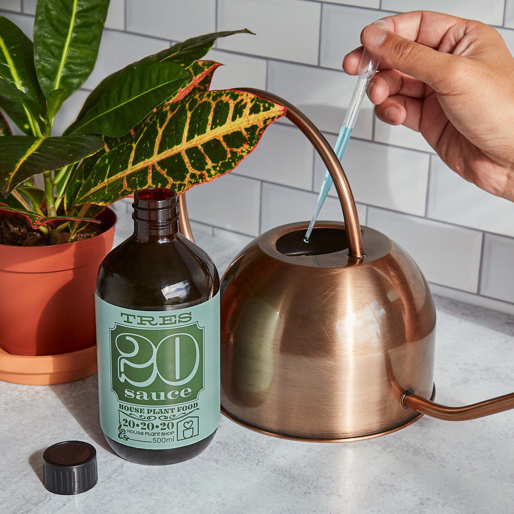 Fertilizer Eye Droppers - 5 Pack | House Plant Shop