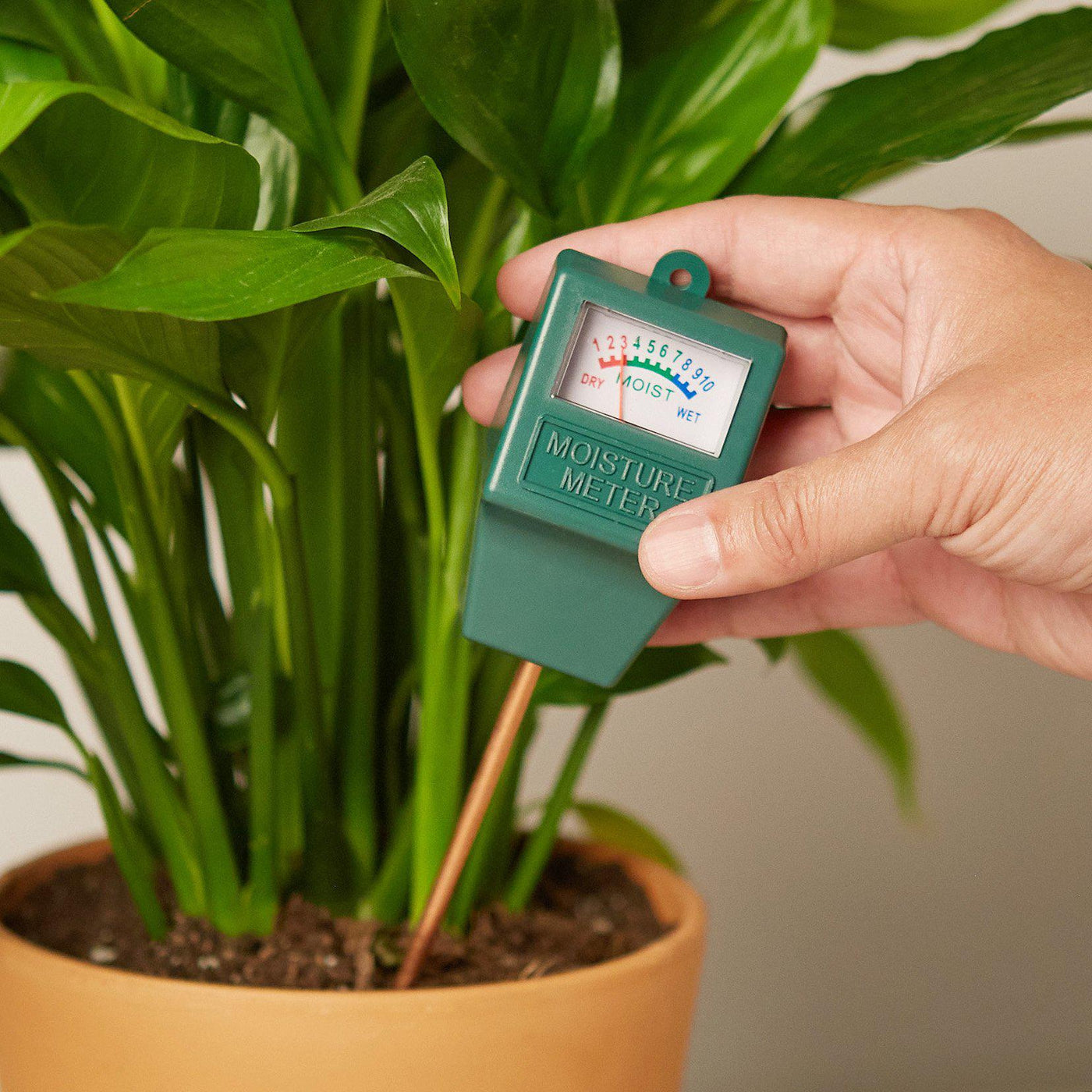 Moisture Meter — House Plant Shop