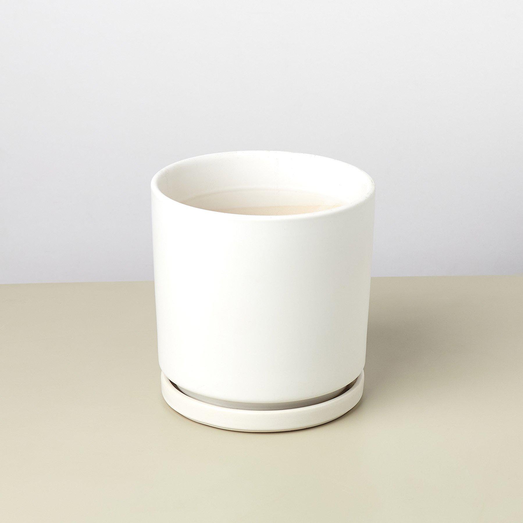 Cylinder Planter — House Plant Shop