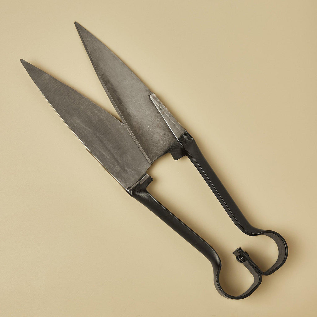 Father's Day Collection — House Plant Shop