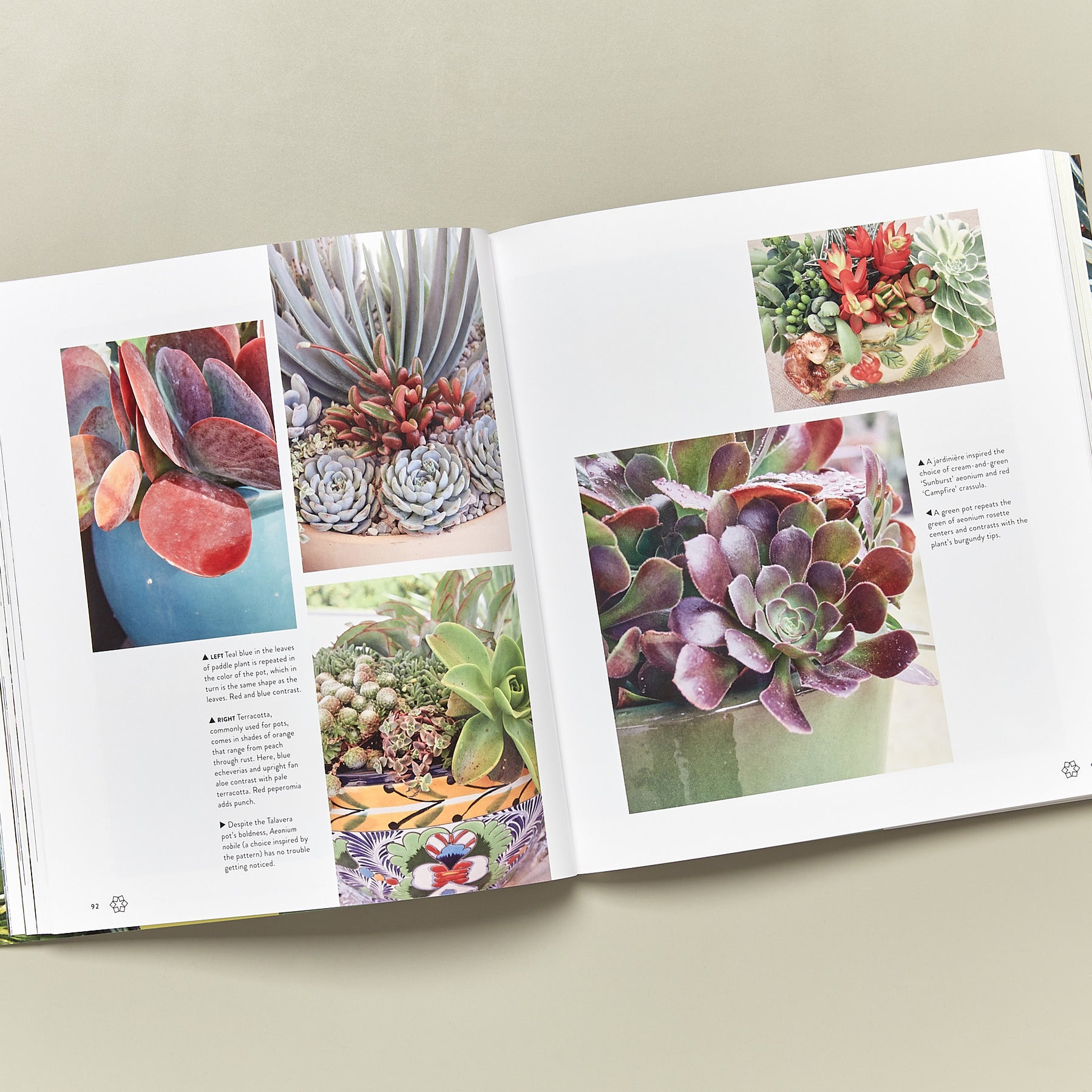 Book - Succulents Simplified | House Plant Shop