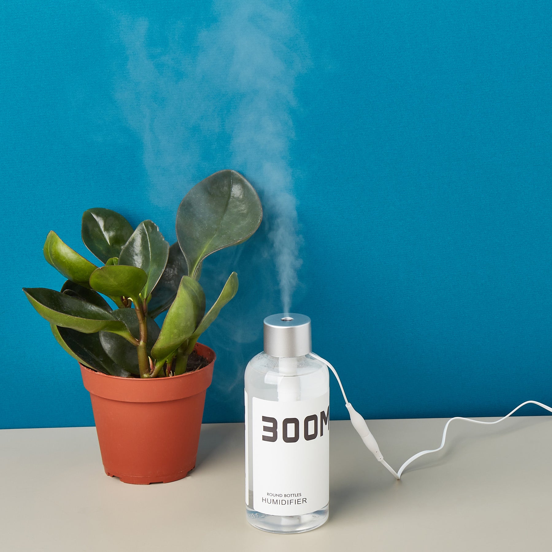 Plant Humidifier - 300ML — House Plant Shop